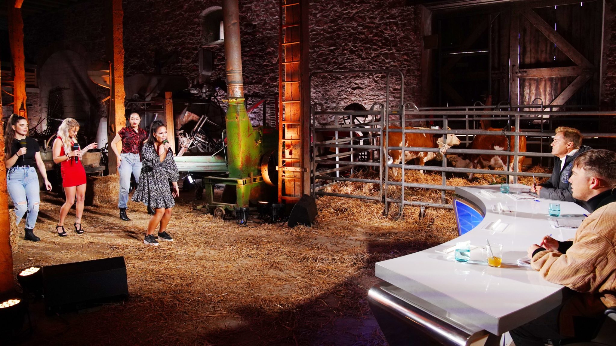 „DEUTSCHLAND SUCHT DEN SUPERSTAR“ Der DSDS-Recall im Kuhstall: – Smago